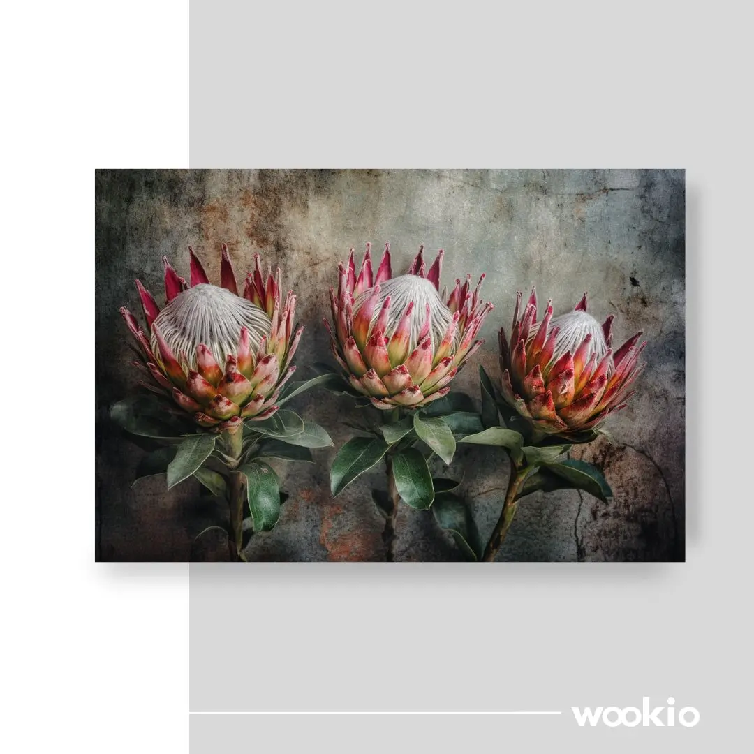 Proteas - The Art Cafe