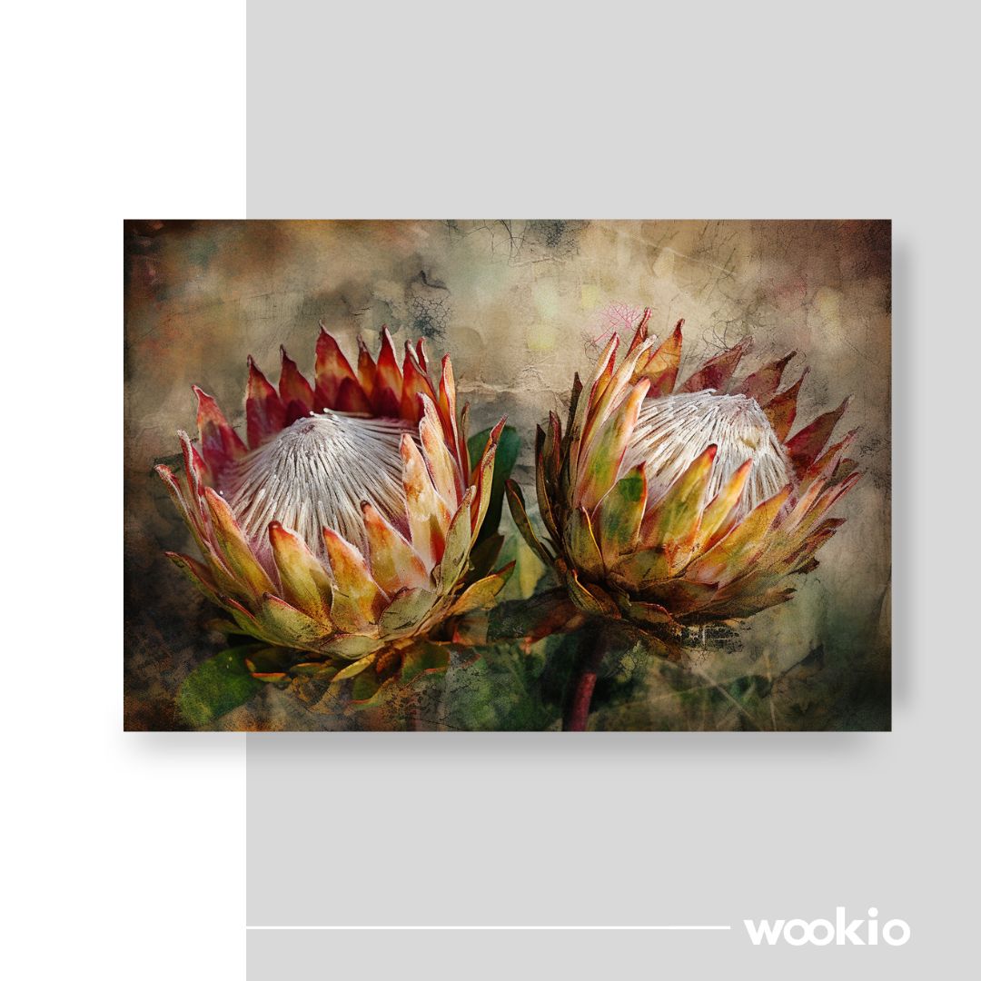 Proteas - The Art Cafe